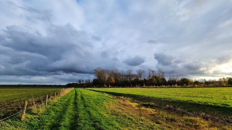 Herstel kleine waterkringloop - Limburg