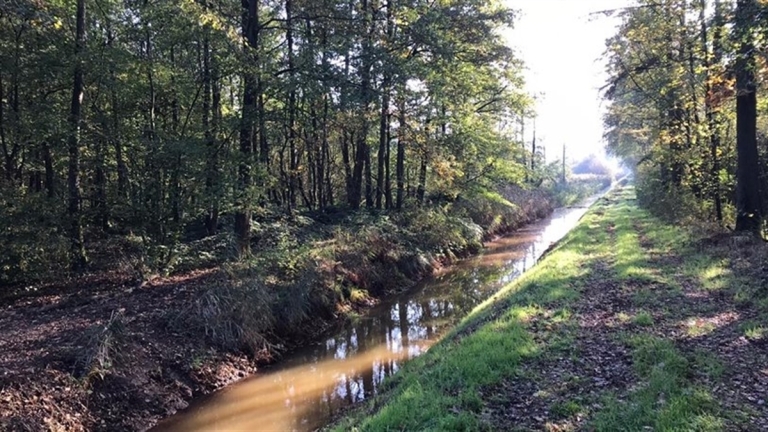 Vragen WNL over het integraal plan Waterbloem/Neer - Limburg