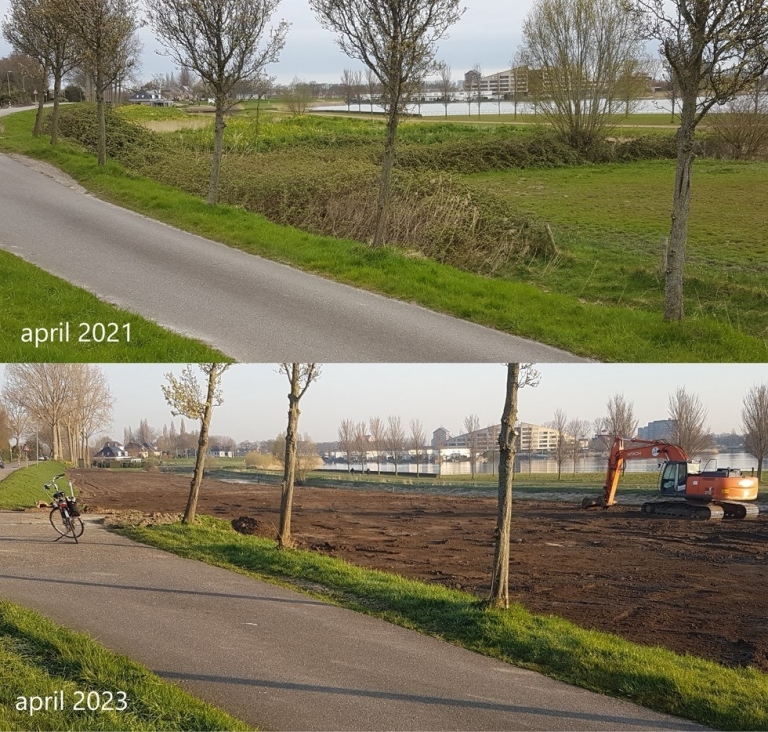 Ruig stukje natuur ingewisseld voor zielige boompjes - Hollandse Delta