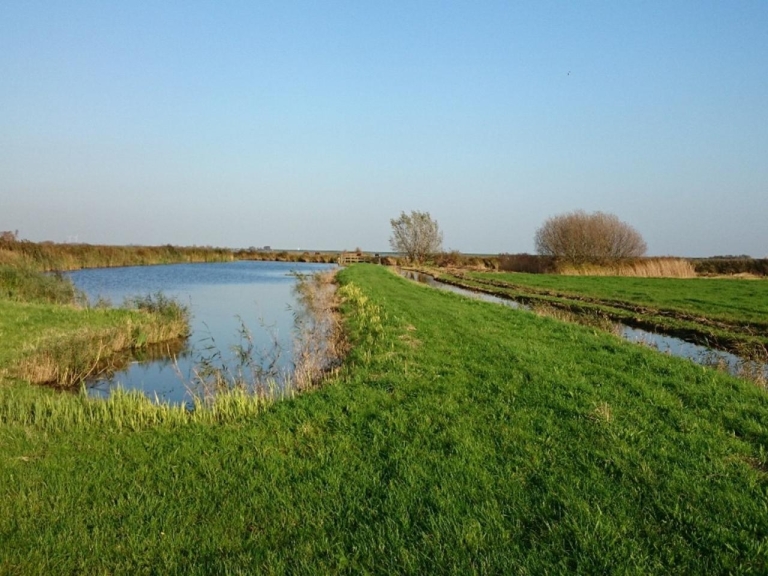 Blauw is het nieuwe groen - Rijnland